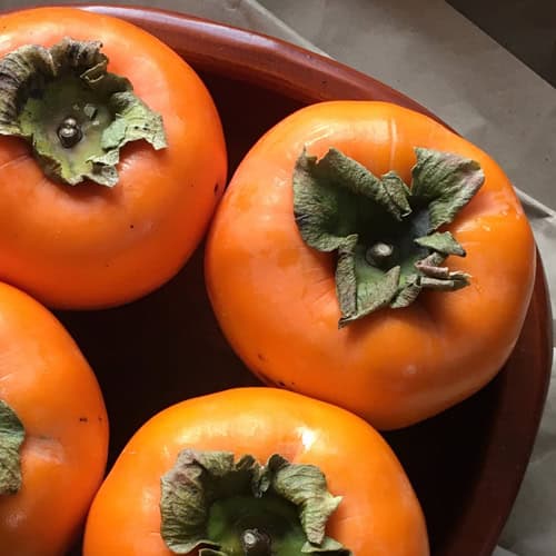 Persimmons - KeyPlex Plant Nutrition