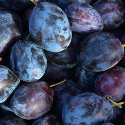 Plums - KeyPlex Plant Nutrition