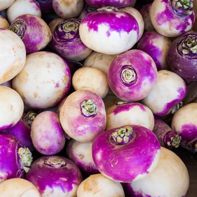 Turnips - KeyPlex Plant Nutrition